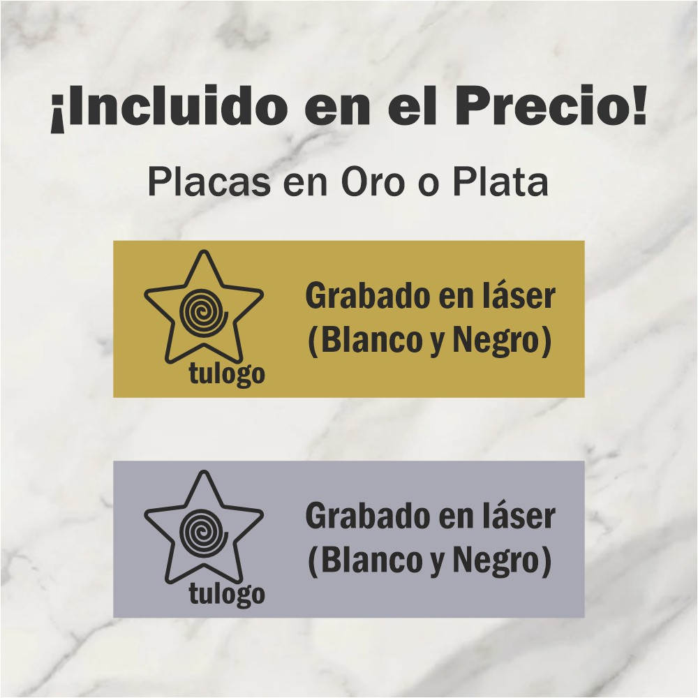 Trofeo pintura Picasso