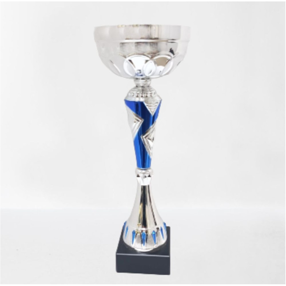 Comprar Online copas económicas para campeonatos, grabado incluido ...